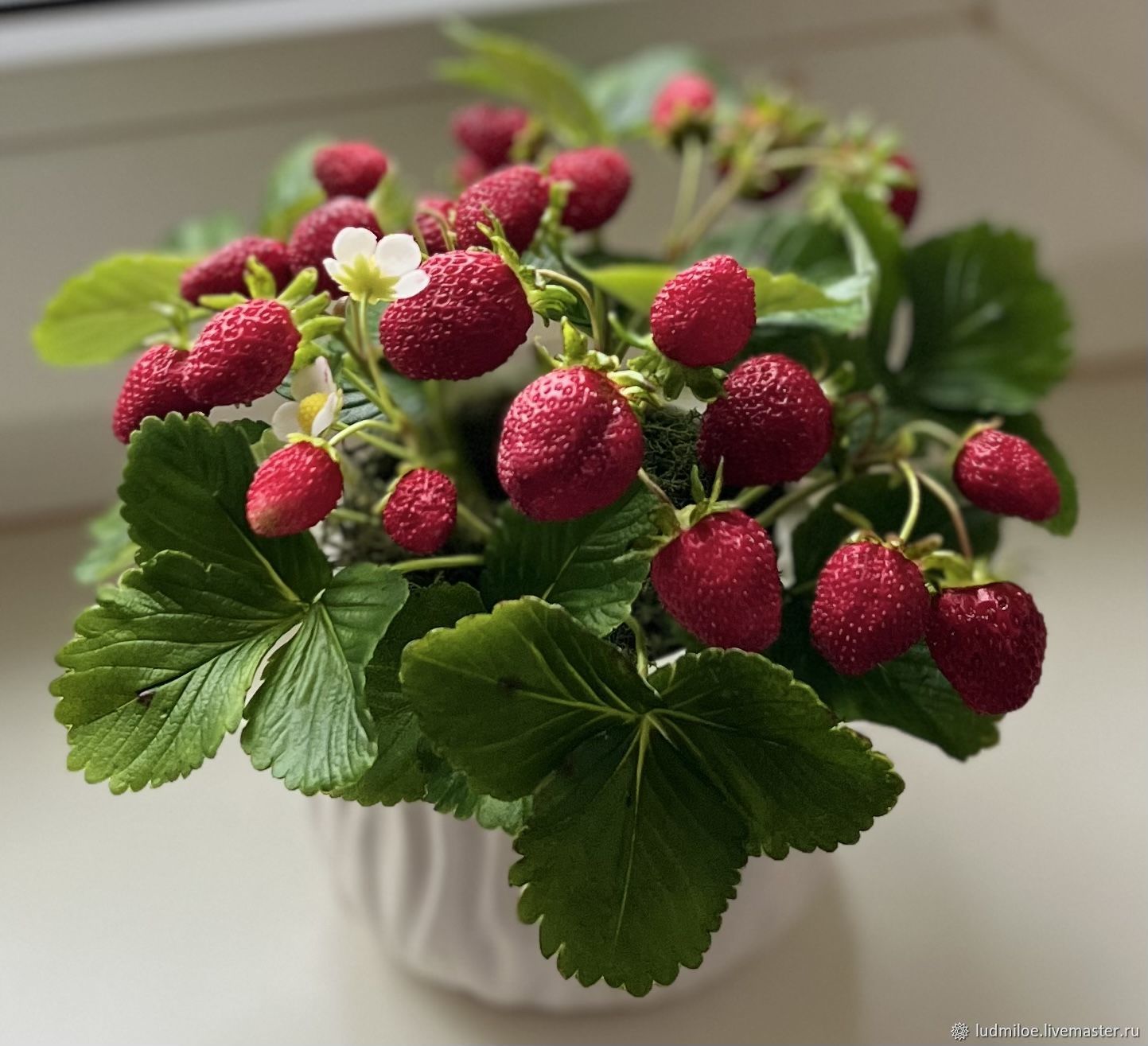 Садовая земляника из полимерной глины на заказ в интернет-магазине ...