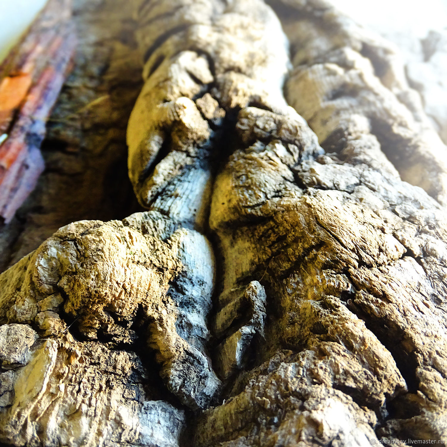 Кора деревьев разных пород. Набор driftwood купить в интернет-магазине ...
