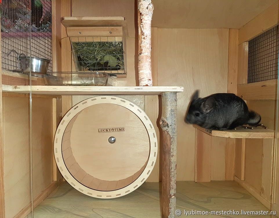 Беговое колесо 35 см для шиншиллы или дегу в интернет-магазине на ...