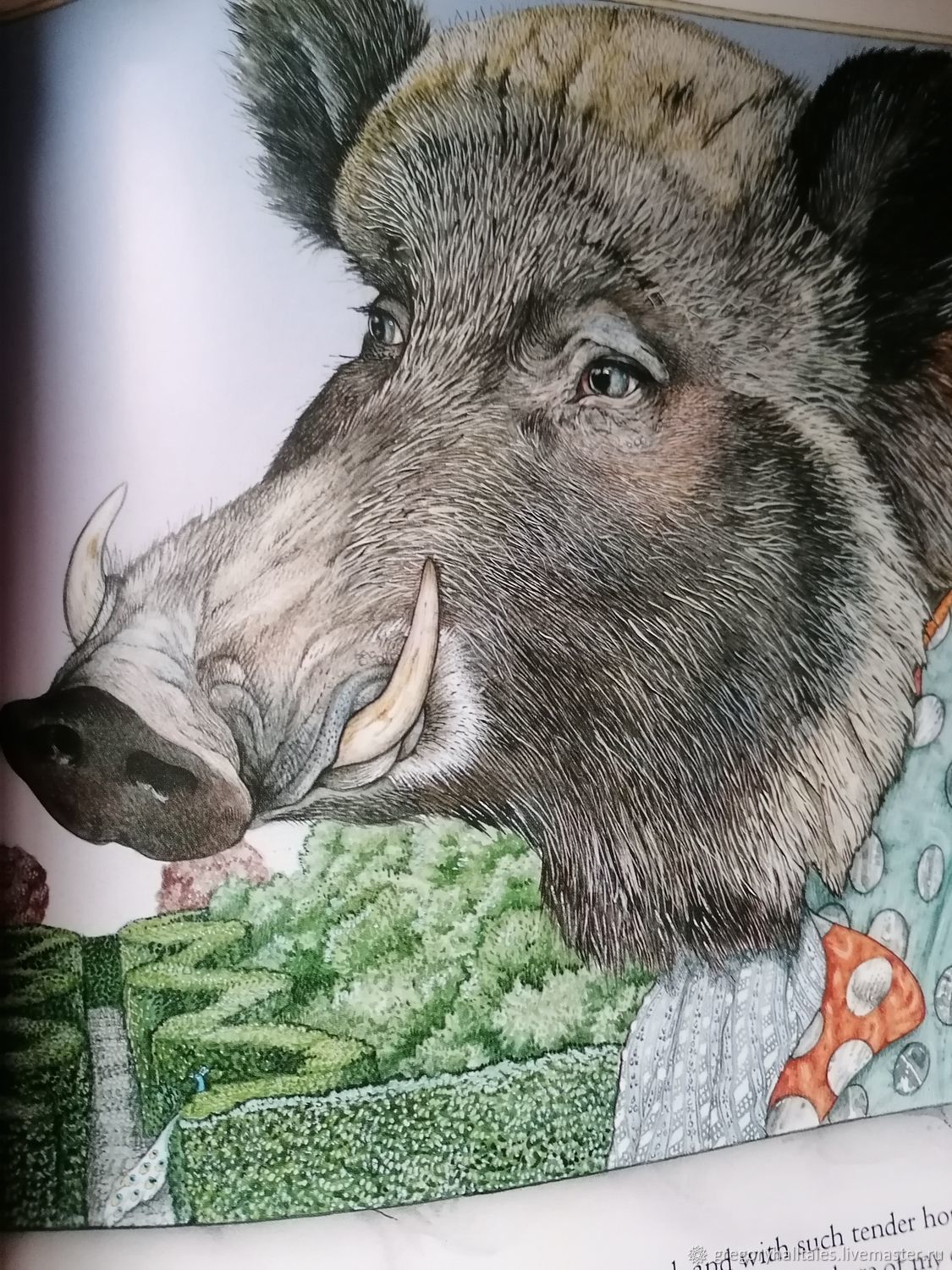 Винтаж: Красавица и чудовище Beauty and the Beast by Jan Brett в ...