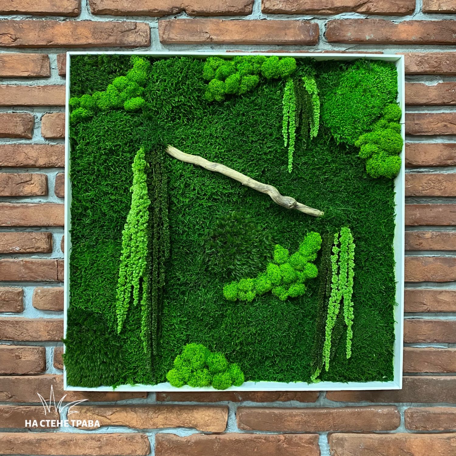 Картина из мха с корягами и амарантом 50 на 50см в интернет-магазине ...