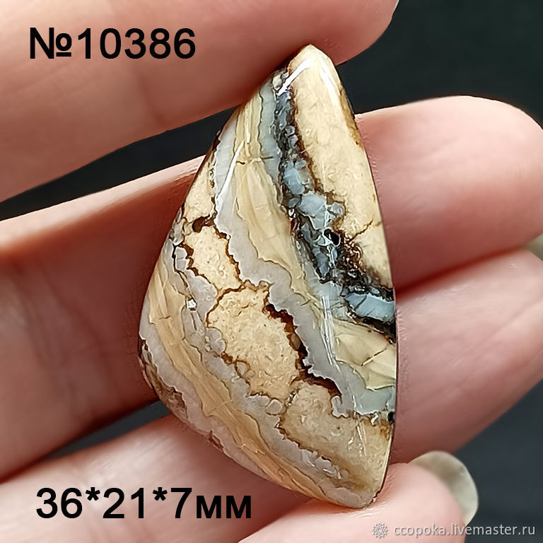 Кабошоны: Зуб мамонта(10386) купить в интернет-магазине Ярмарка ...