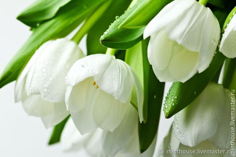 Шарф-сетка ХРИЗОЛИТЫ, валяный шерстяной шарфик с тюльпанами в интернет ...