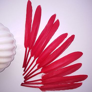 Перья – Купить на Ярмарке Мастеров | Аксессуары и материалы для рукоделия