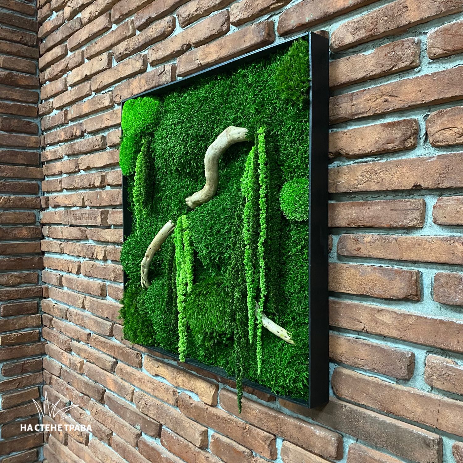 Картина из мха с корягами и амарантом 50 на 50см в интернет-магазине ...