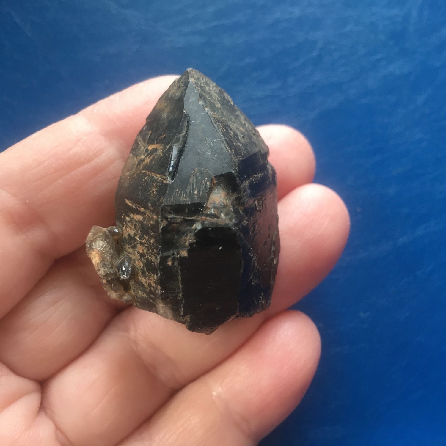 МОРИОН КРИСТАЛЛ купить в интернет-магазине Ярмарка Мастеров по цене 250 ...