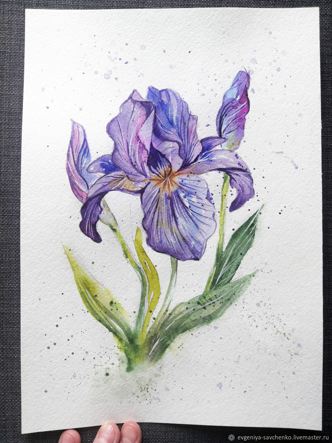 Акварель "Ирис" в интернет-магазине на Ярмарке Мастеров | Картины ...