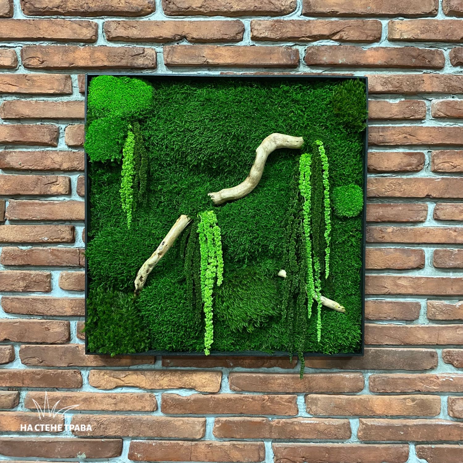Картина из мха с корягами и амарантом 50 на 50см в интернет-магазине ...