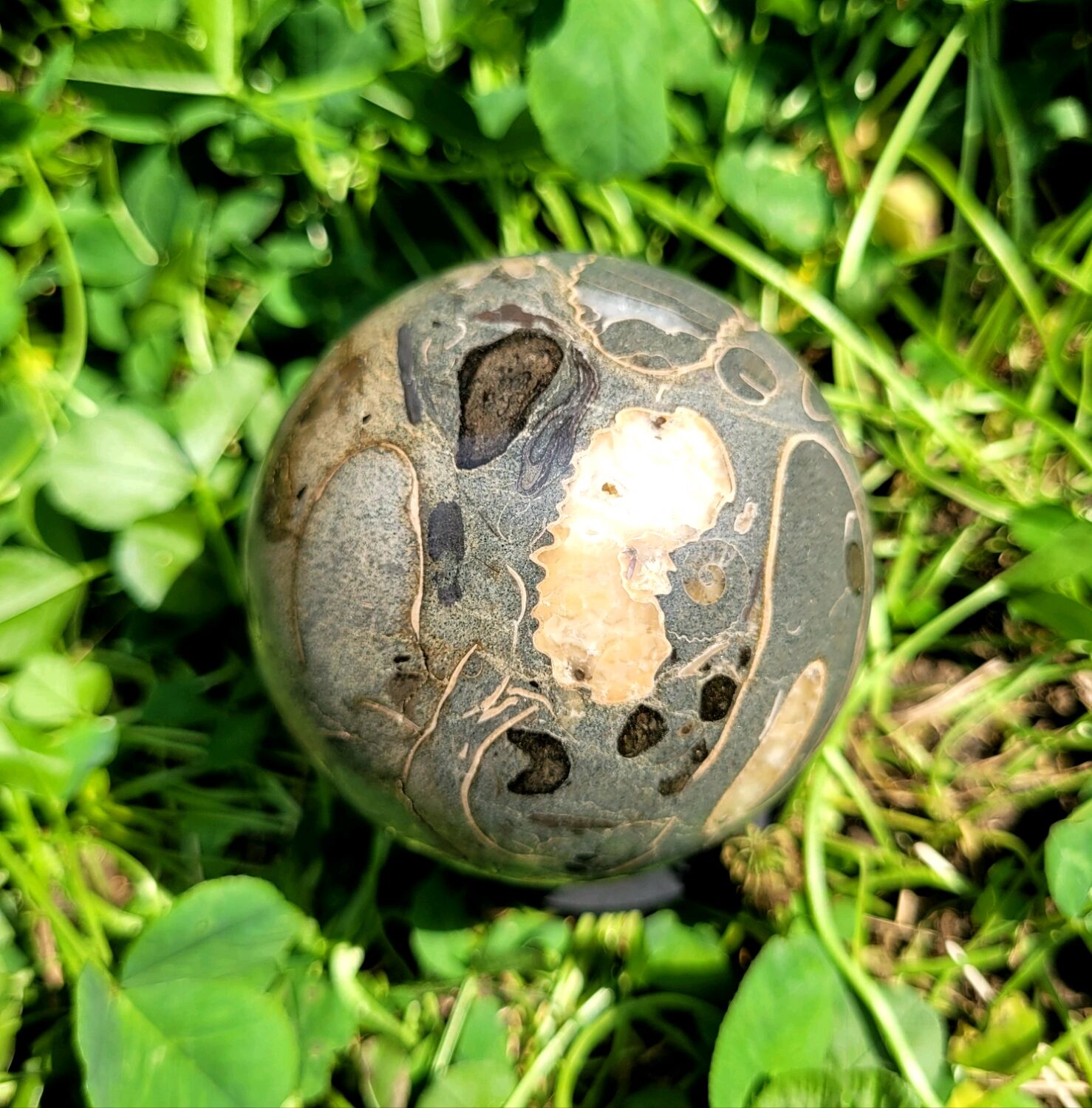 Шар из танатоценоза. Работа Руслана Соцкого. в интернет-магазине на ...