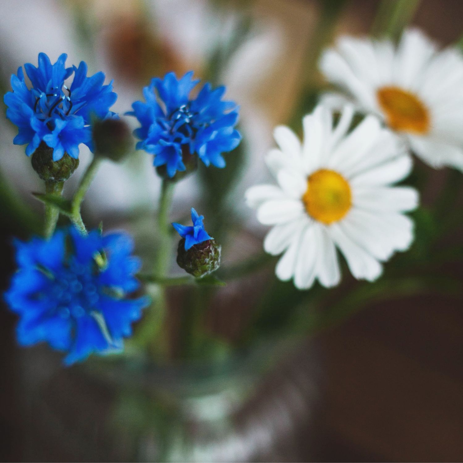 Полевой букет из ромашек и васильков из Холодного Фарфора – заказать на ...