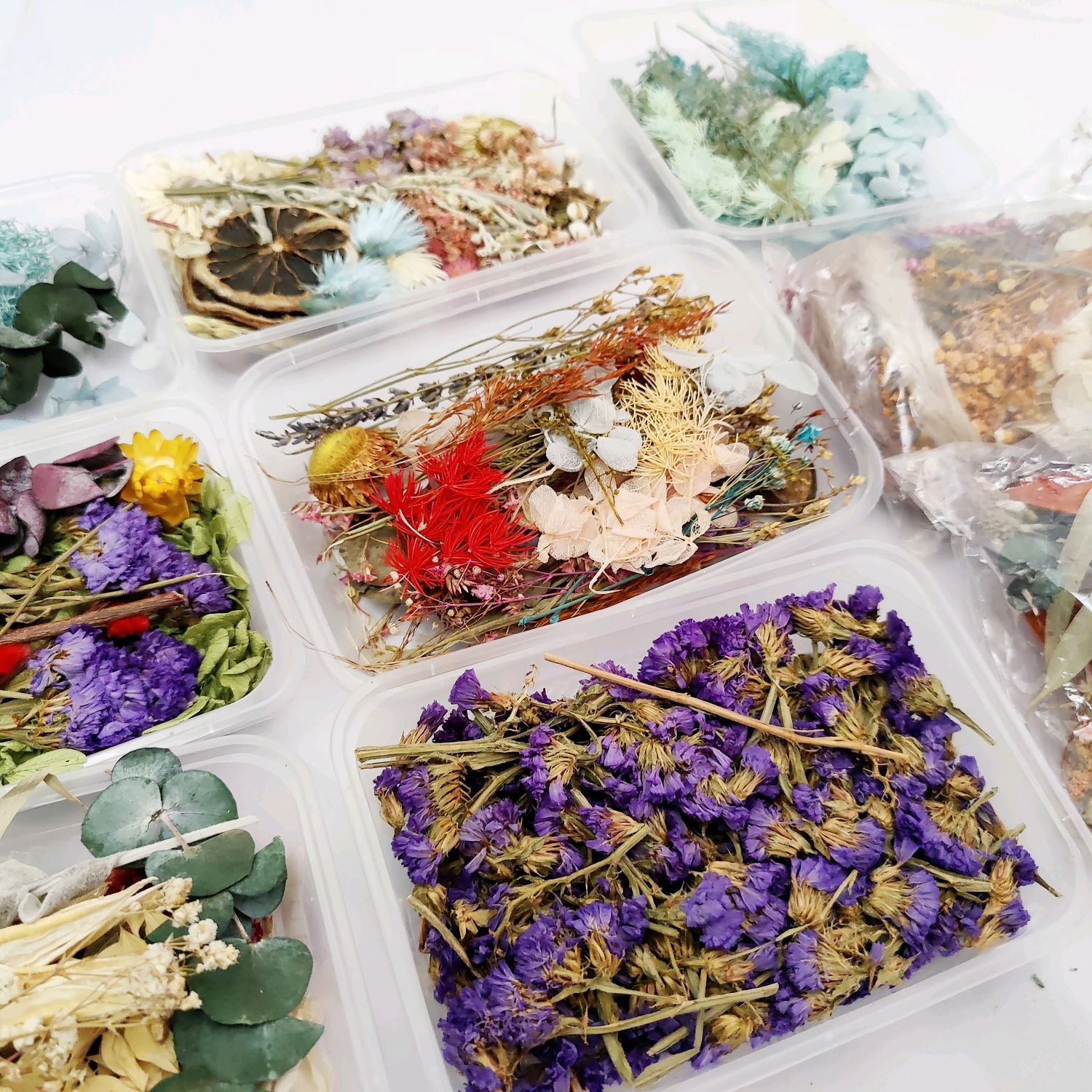 Сухоцветы для творчества, свечей , украшений. Набор 9 шт в интернет ...