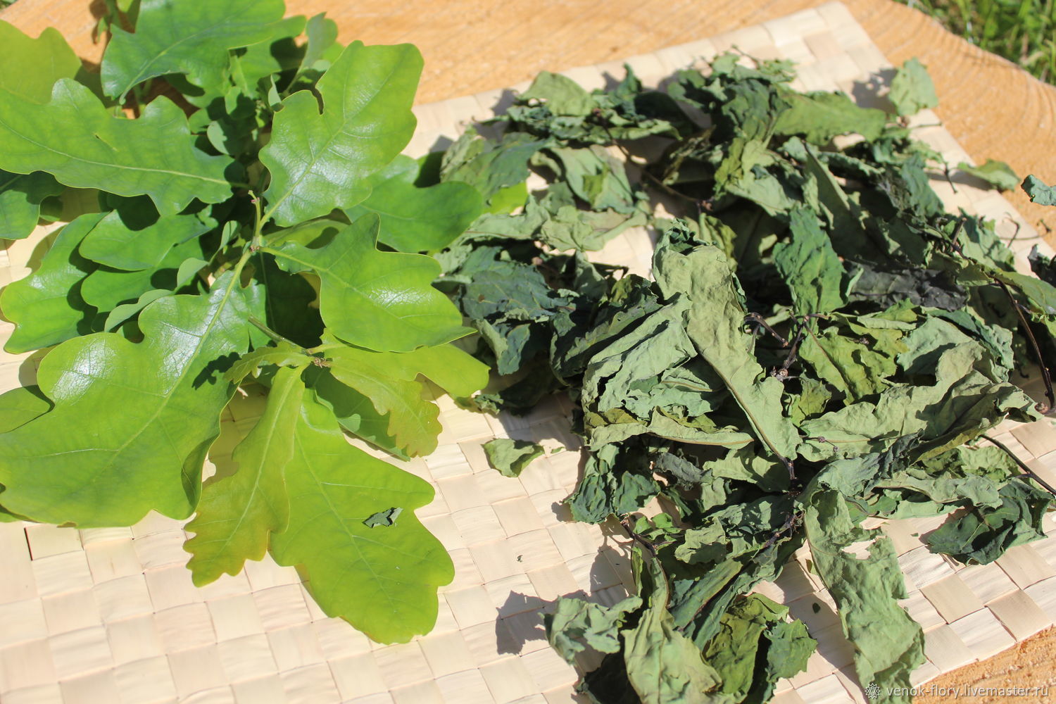 Дуба листья молодые. Сбор 2024 в интернет-магазине Ярмарка Мастеров по ...