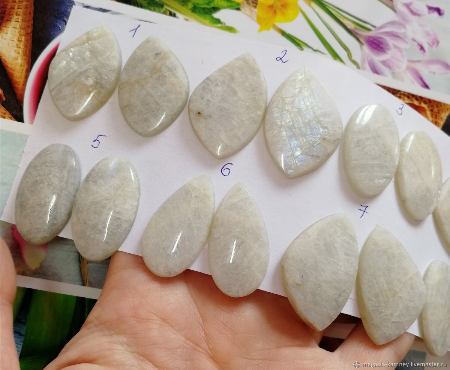 Беломорит 33 пары, кабошоны купить в интернет-магазине Ярмарка Мастеров по цене 760 ₽ – SQN6KRU ...