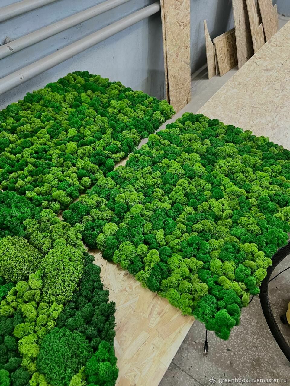 Панель из стабилизированного мха – купить онлайн на Ярмарке Мастеров ...