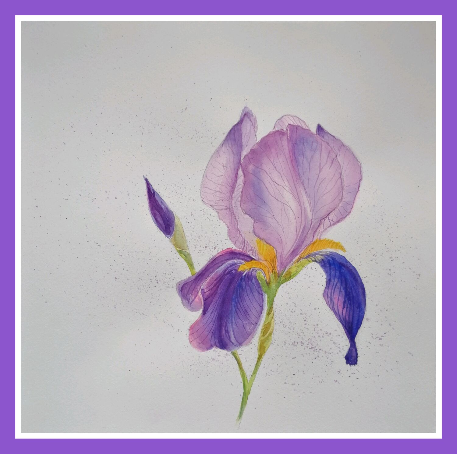 Ирис акварель в интернет-магазине Ярмарка Мастеров по цене 4900 ...